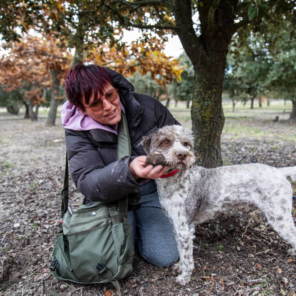 La Romagnolette | Chambre d'hôtes en Drôme provençale
