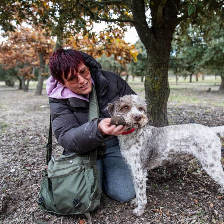 Week-end truffes en Drôme provençale | La Romagnolette